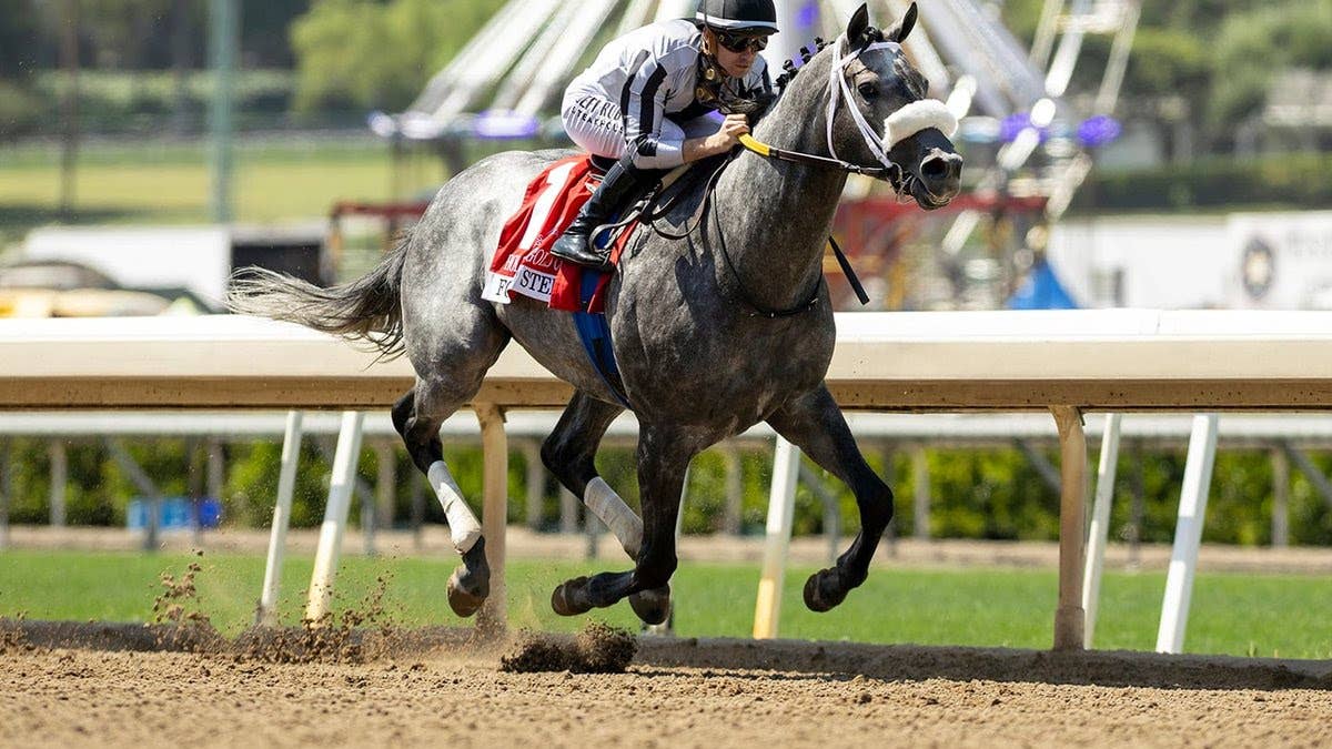 Forged steel, Navajo Warrior will scratch from Stephen Foster