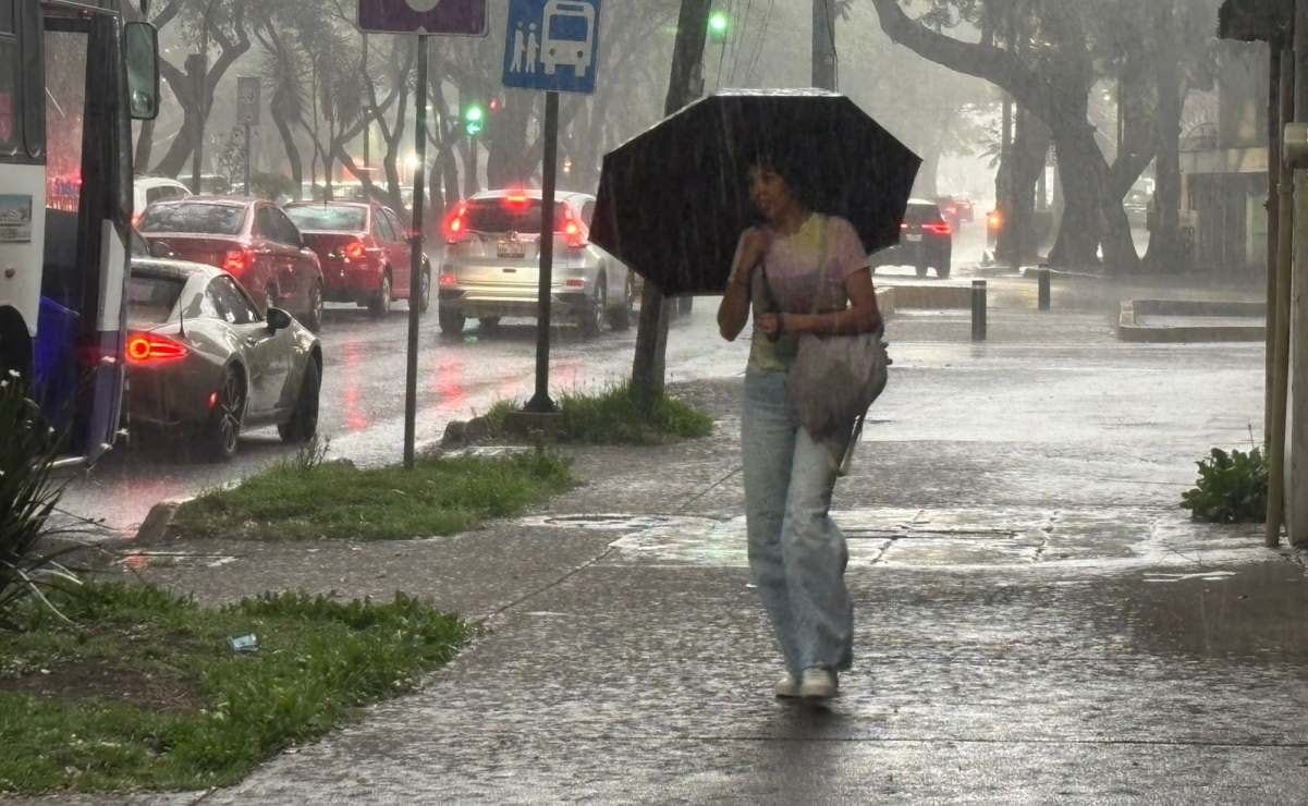 Lluvias y granizo golpean la CDMX; reportan árboles caídos ...