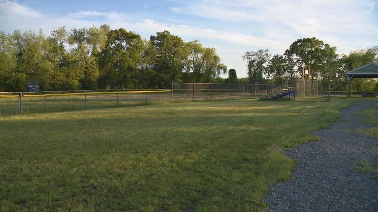 Swansea police called to baseball field twice, league accused of ...