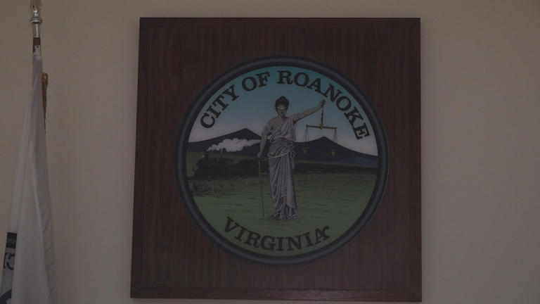 Nine candidates running for three open Roanoke City Council seats