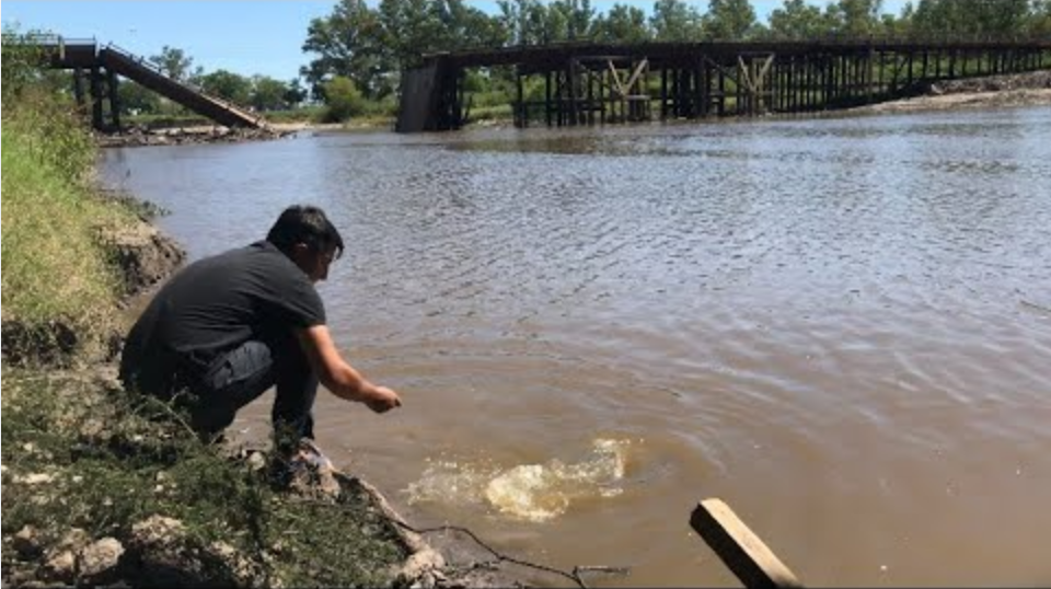 Pesca con masa y capturas récord