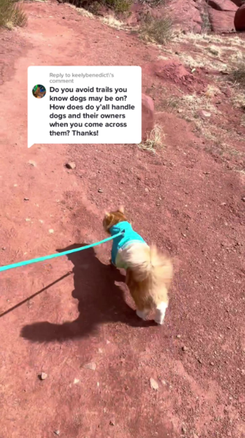 Cats & dogs on the trail