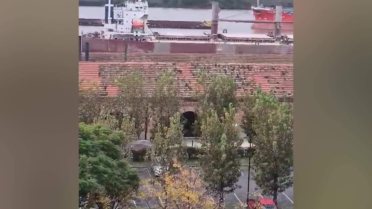 Tugboat pushing barges smashes into anchored ship on Argentine river