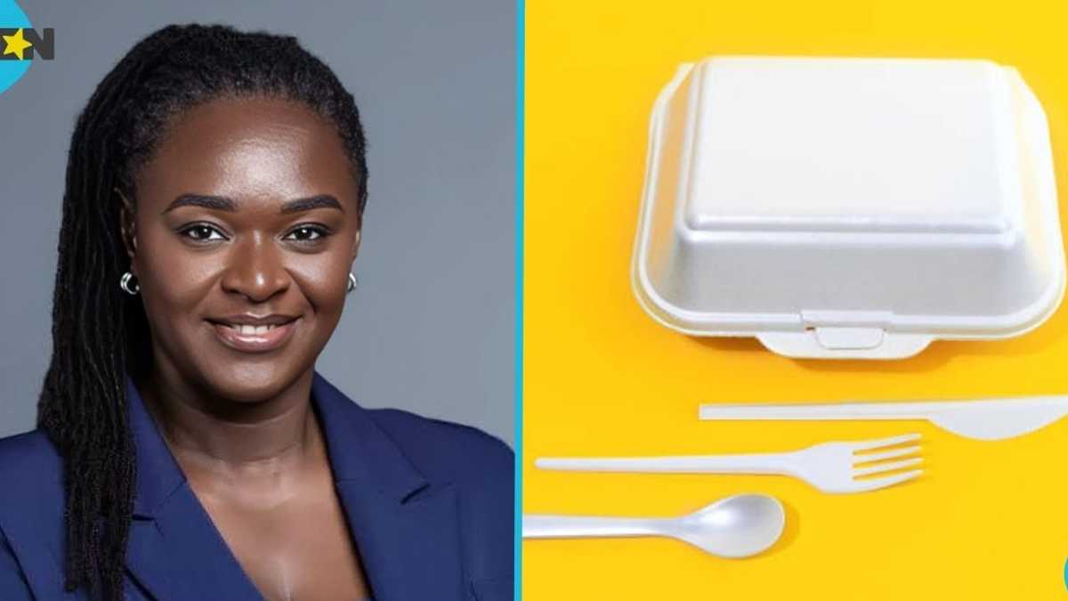EPA declares ban on takeaway lacks and Styrofoam products in Ghana by 2027