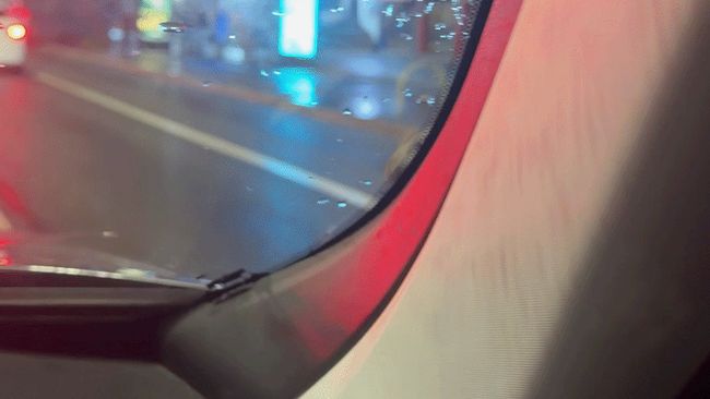 Rat's hitchhiking attempt cut short by windscreen wiper