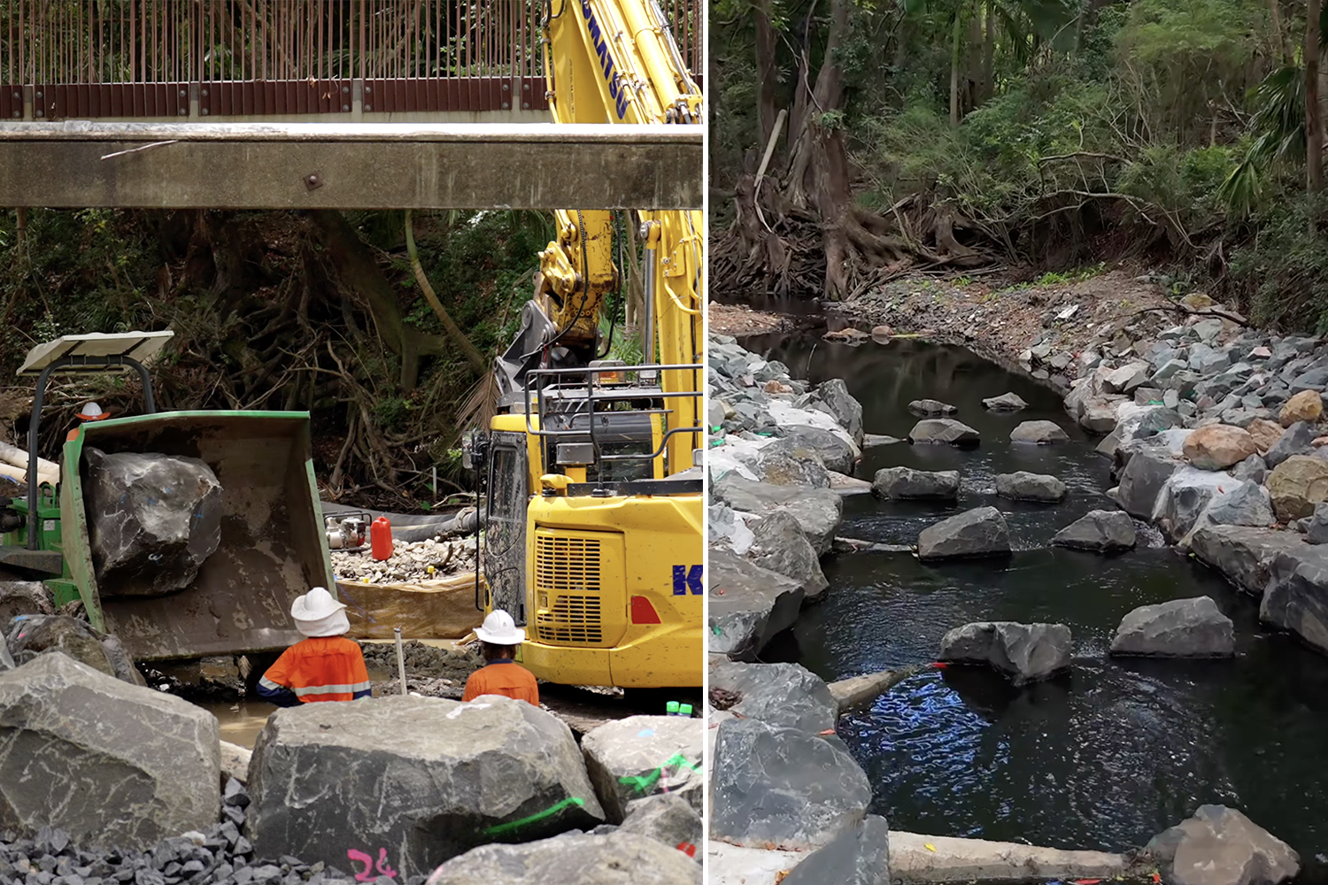 Aussie council’s underwater staircase brings native species back after ...