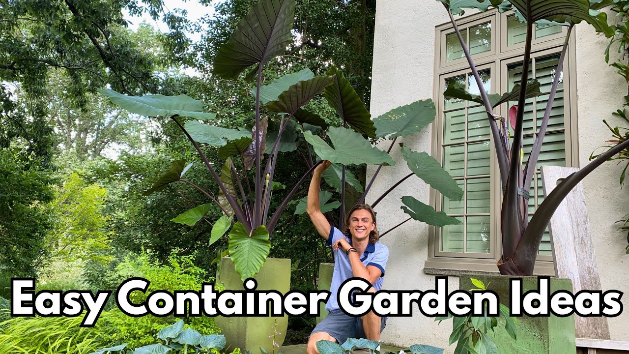 Container garden ideas & inspiration
