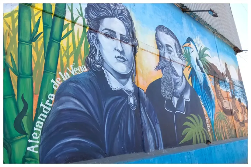Colores que inspiran paz: “Memoria sembrada” se convierte en emblema de ...