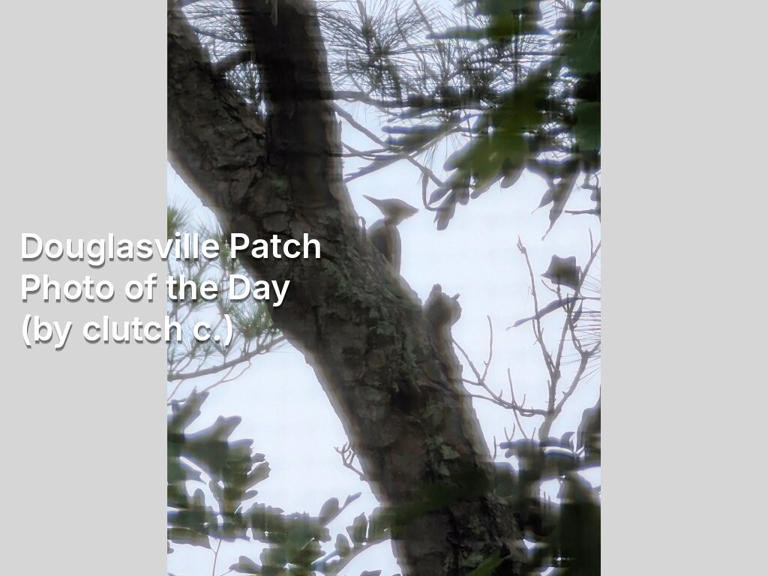 🌱 Patch AM: Two Douglasville standouts draw heavy interest from SEC and ...