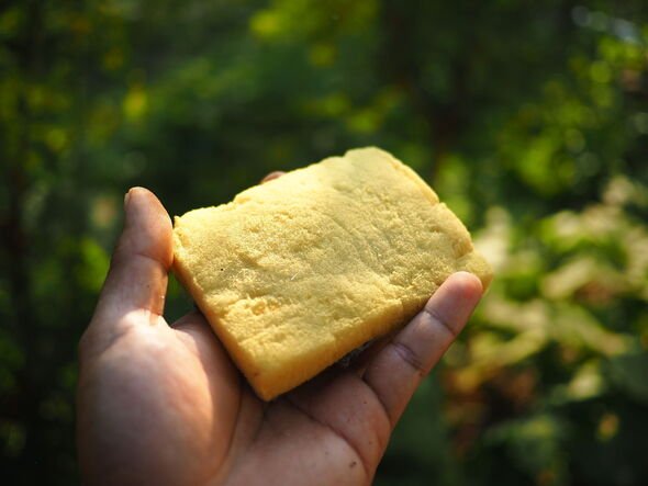 Britons urged to rub sponges on skin today