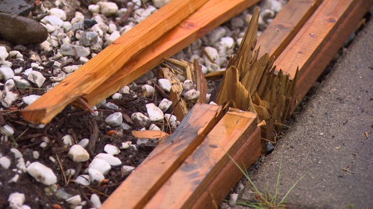 Tacoma family concerned for safety after car crashes into front yard