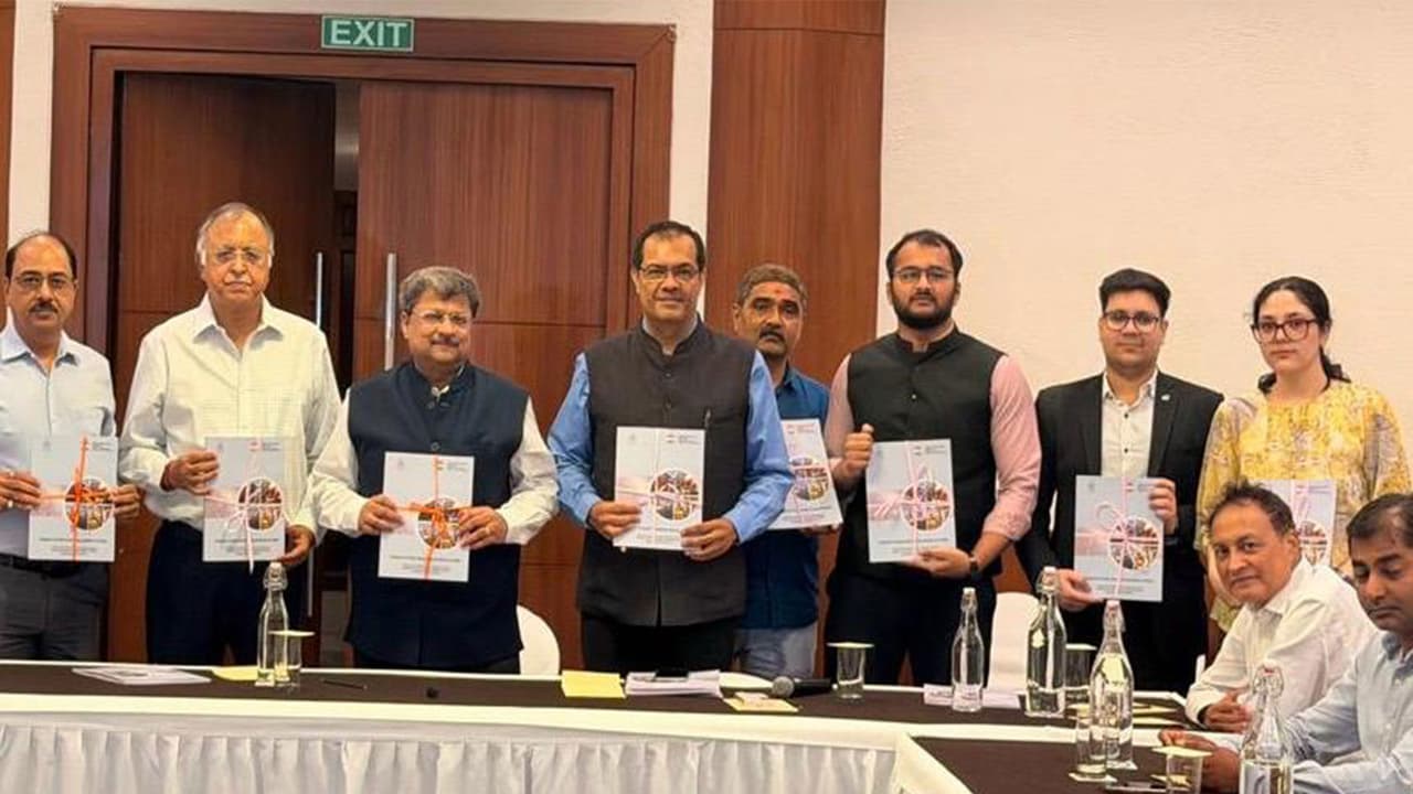 Anti-dumping duties can save India Rs 28,540 cr annually: Report