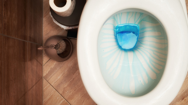 5 essential steps to cleaning your toilet the right way