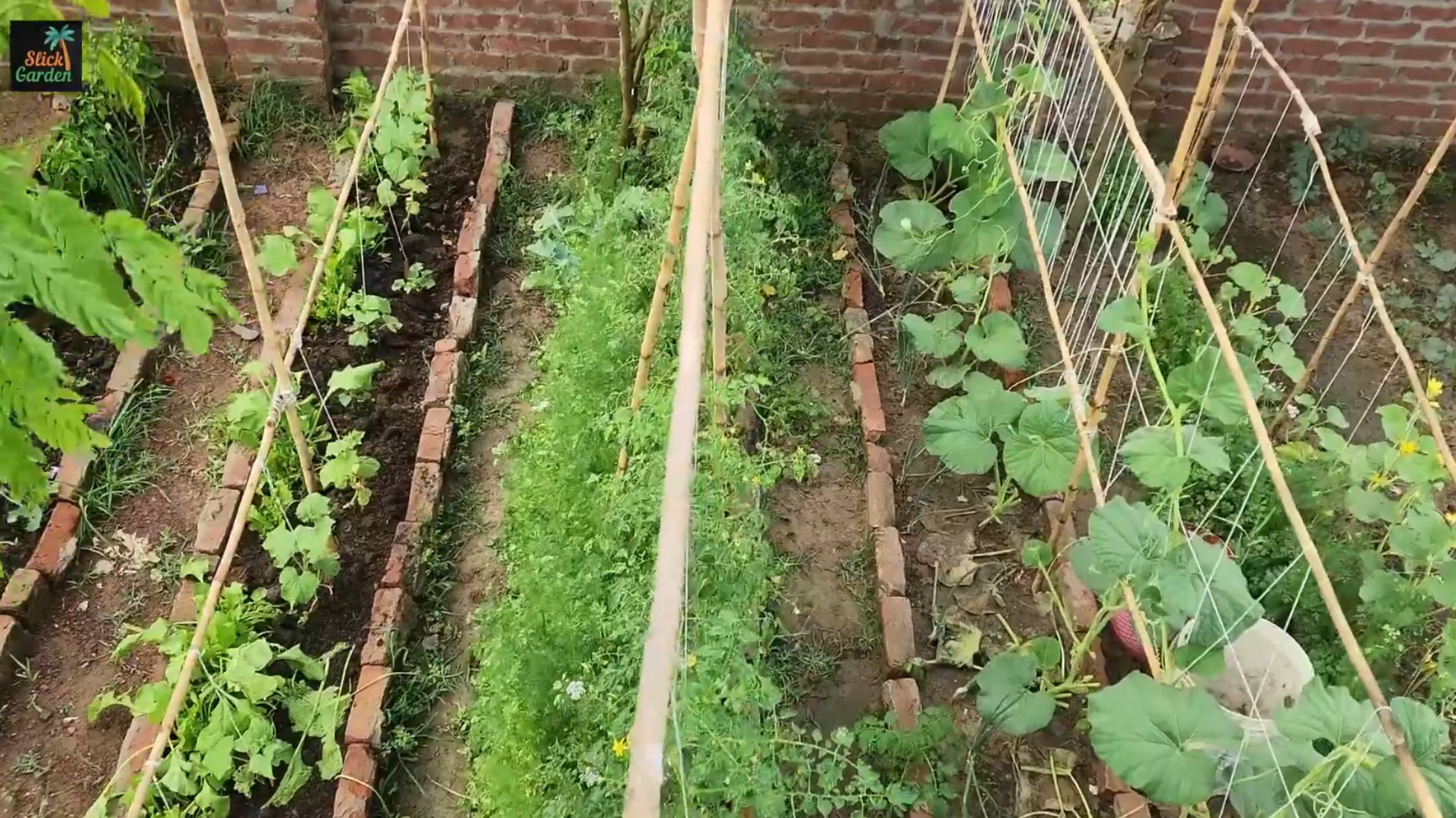 Transform your garden soil using charcoal & microbes