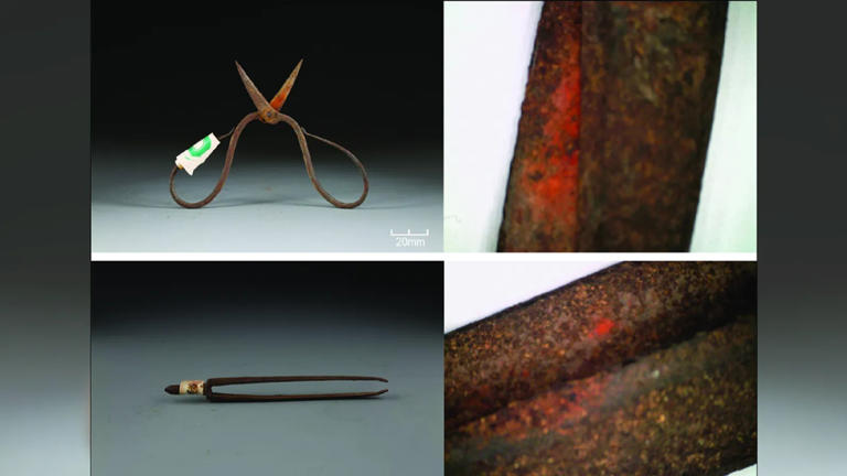 Wolfsbane residue on Ming dynasty surgeon’s tools may be oldest ...