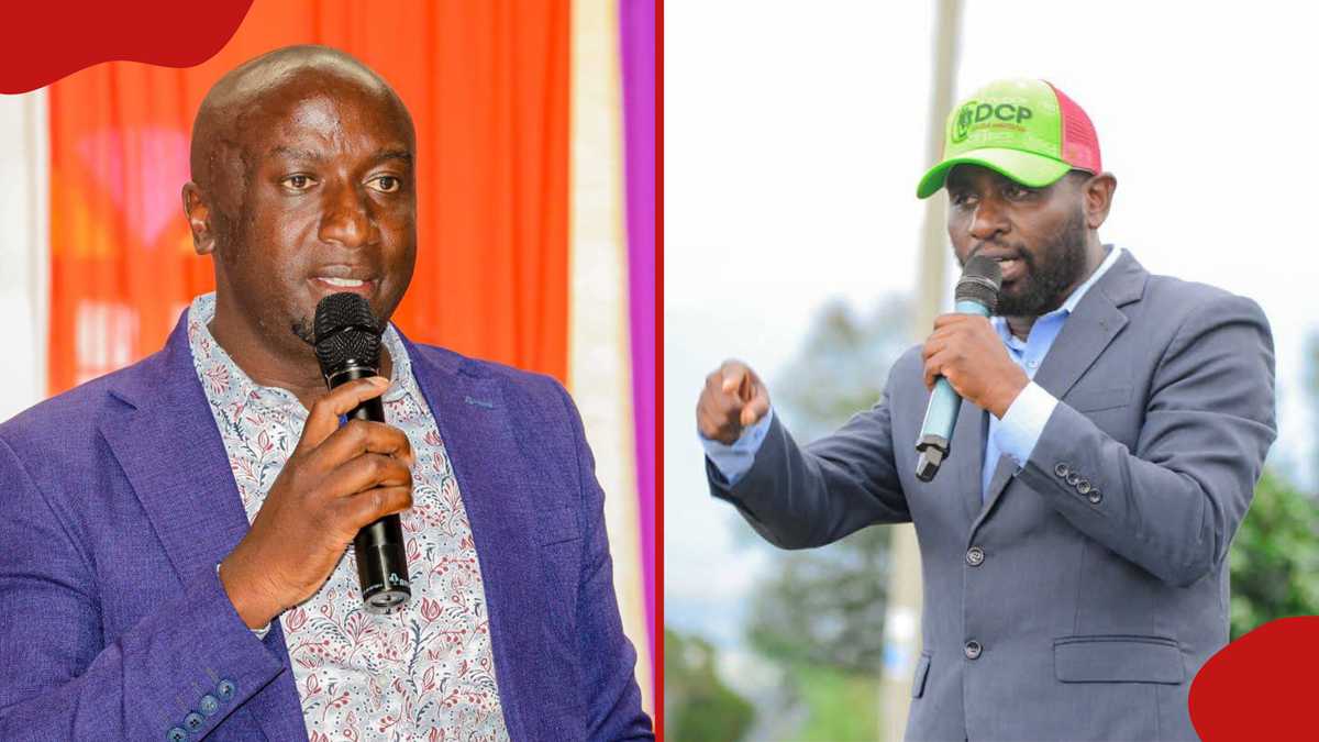 Ol Kalou by-election: New poll shows DCP's Sammy Ngotho will easily ...