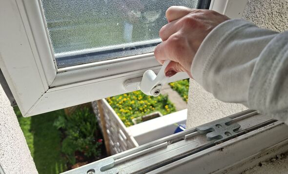 People urged to open bathroom windows to stop insect building a ‘nest’
