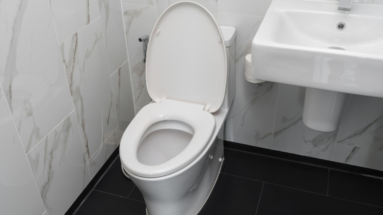 5 essential steps to cleaning your toilet the right way