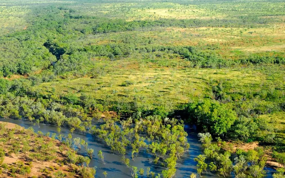 WA plan to double Fitzroy River groundwater extraction sparks alarm