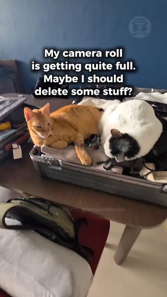 My camera roll is getting too full time for a clean up