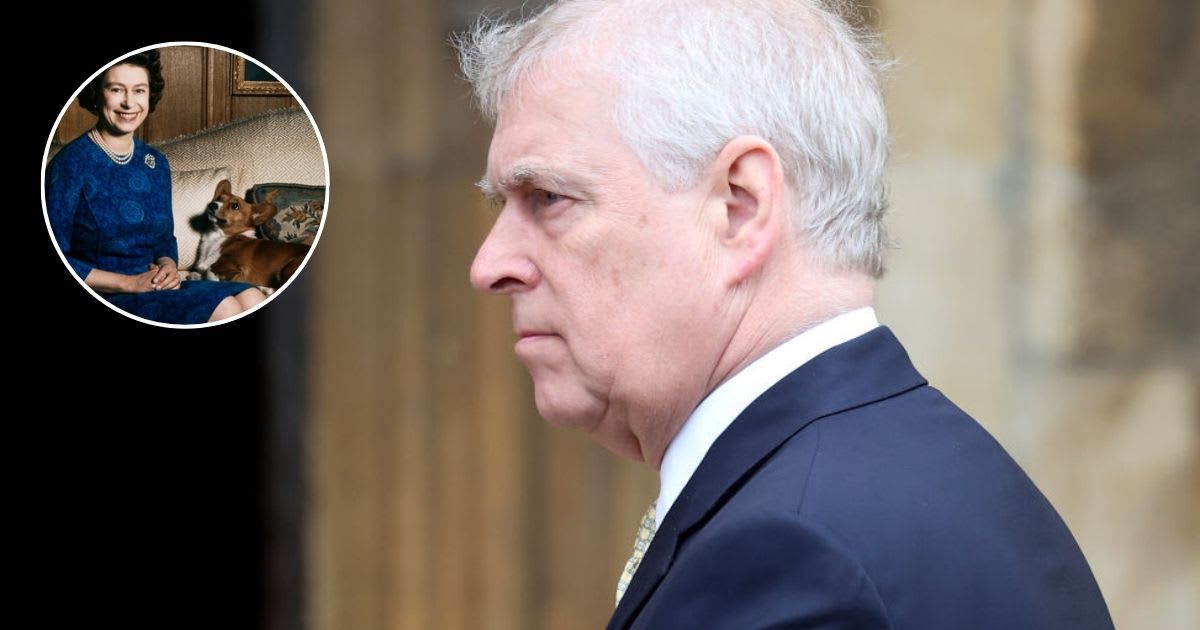 Andrew ditches teddy bear obsession for bizarre nightly 'ritual' with ...