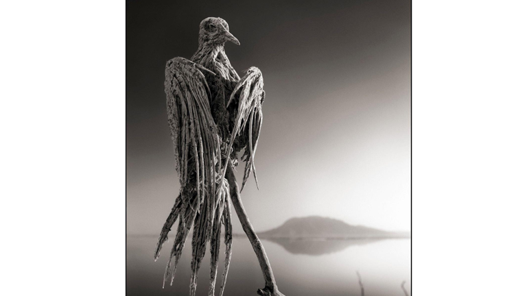 The dead lake: This Tanzanian lake can turn dead animals into stone ...