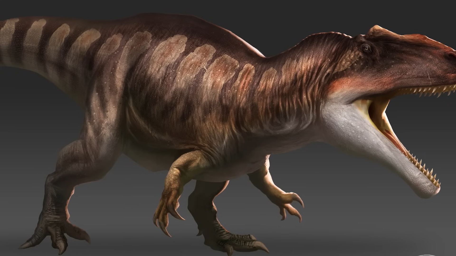 Watch what happens when a dinosaur bigger than T rex hunts like a monster