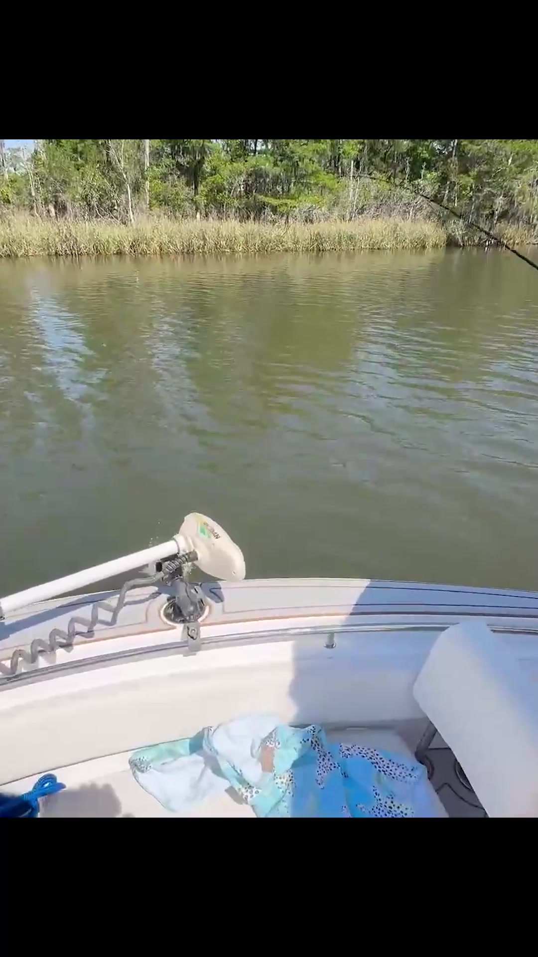 1 hour saltwater fishing challenge