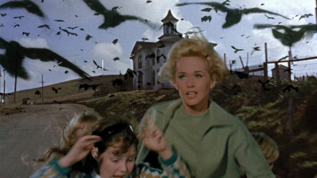 Tippi Hedren’s shocking ordeal on ‘The Birds’ set exposed in explosive ...
