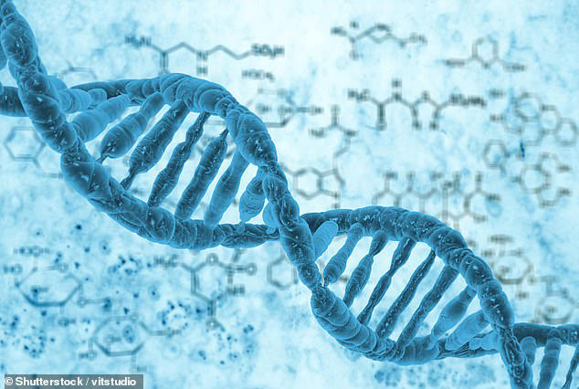 CIA accused of using Ancestry and 23andMe to 'hunt down' alien ...