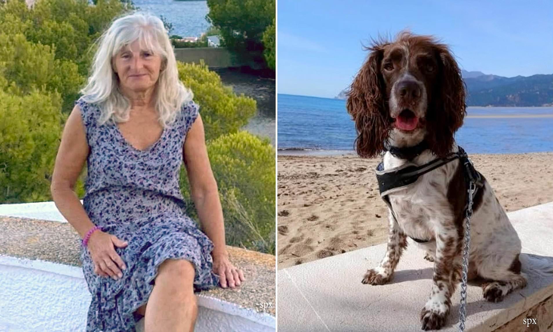 Fears for missing British woman after 'her camper van is stolen while ...