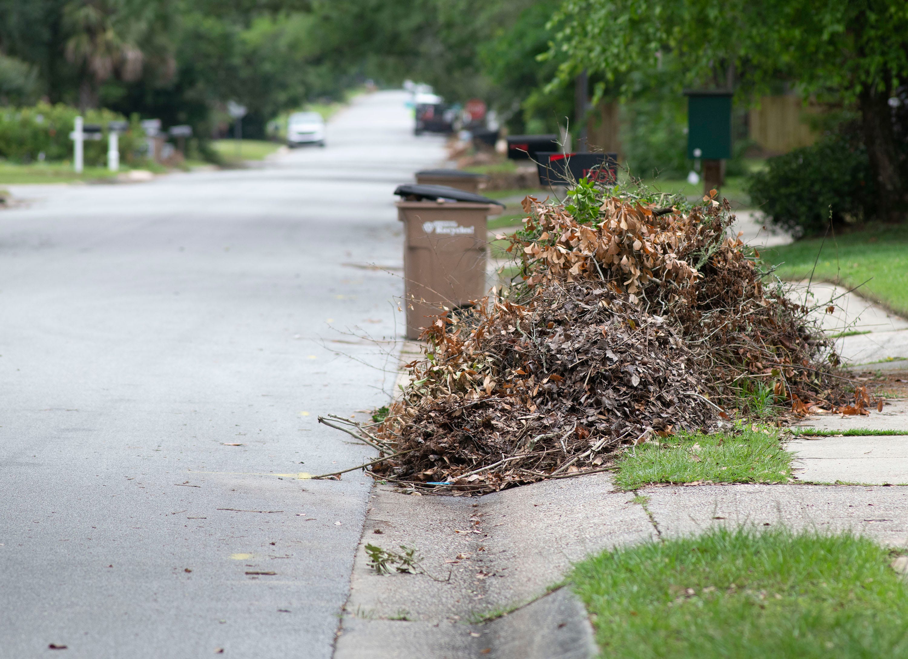 Pensacola to crack down on pro landscapers leaving yard waste on curbs