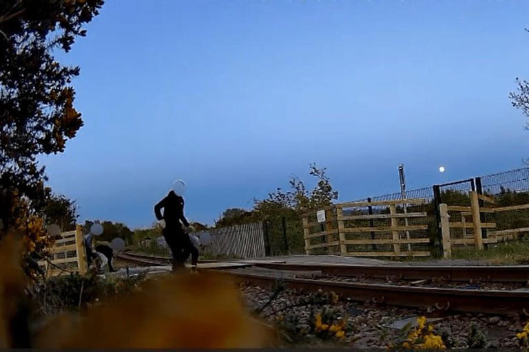 Reckless teens force train driver to slam emergency breaks at crossing ...