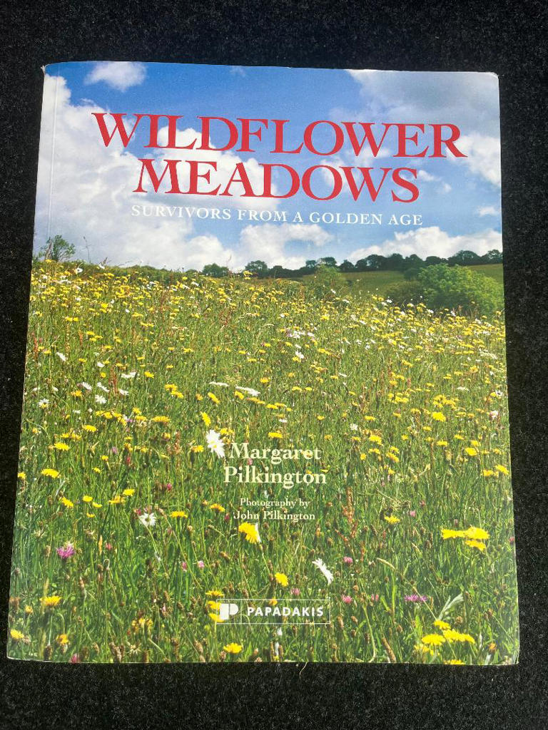 Letter to the editor: Walk on the 'wildflower side' on Saturday May 30