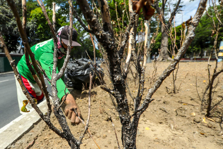 Drought hits Metro Manila, 25 provinces in May – PAGASA