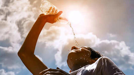 India’s deadly 9-day heat cycle is back - here’s how Nautapa affects ...