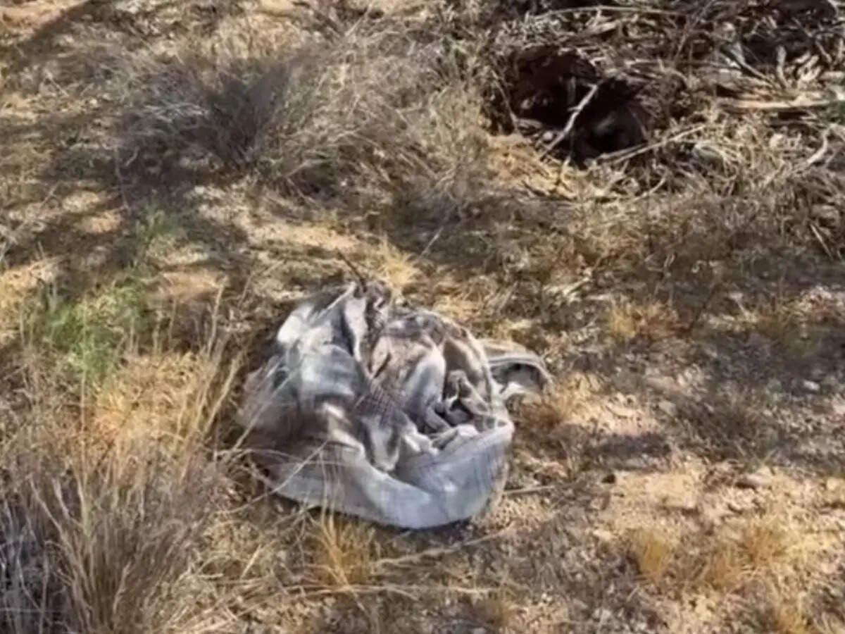 Nancy Guthrie case big breakthrough? Pajama top found on ‘disturbed ...