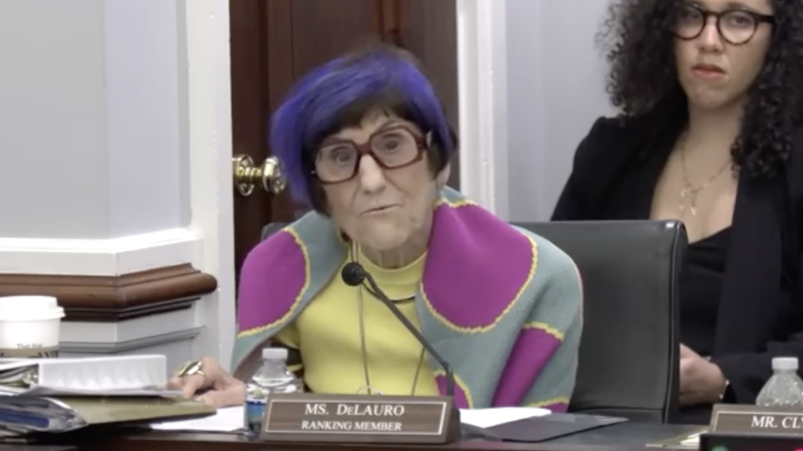 'This bill makes the problem even worse': Rosa DeLauro slams proposed ...