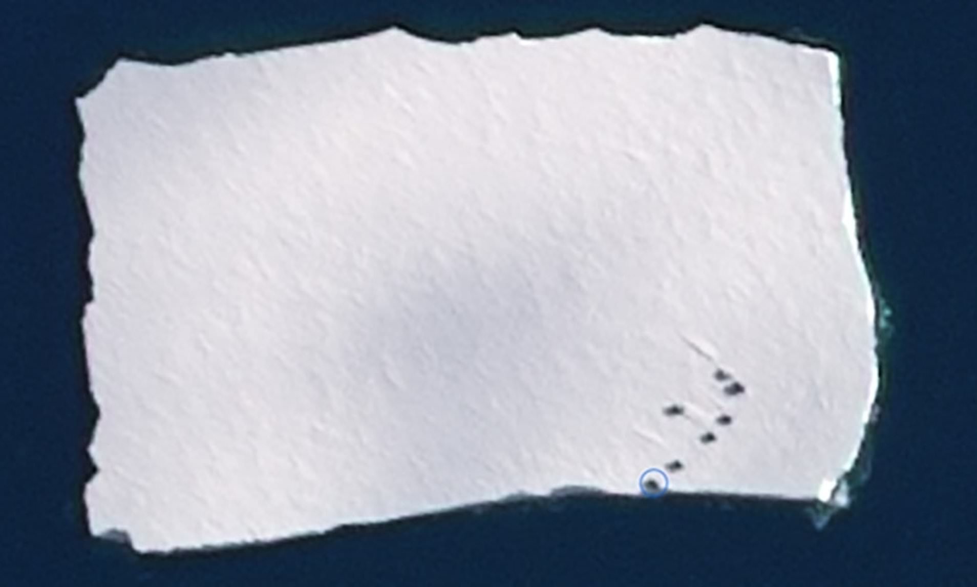 Antarctic researchers left without accommodation and fuel supply after ...