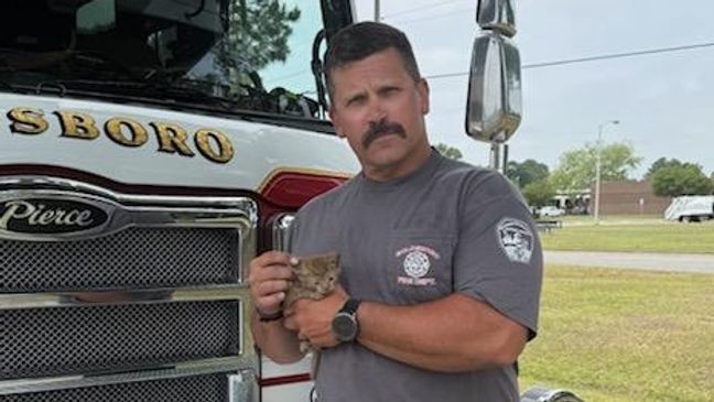 Tower crew purr-forms a rescue, pulls kitten from car engine in Goldsboro