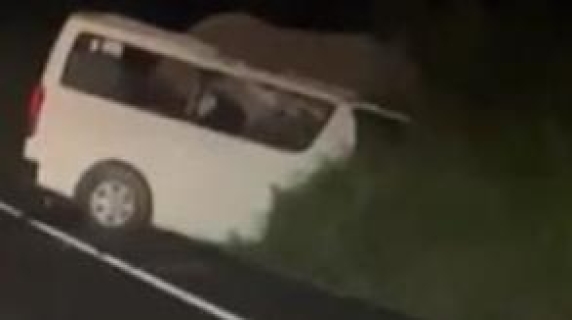 Minivan si scontra con un elefante, lungo la strada tra Arua e Kampala ...