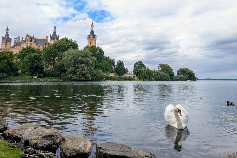 Wenn das Wasser ruft: „Langer Tag der StadtNatur“ lädt ein – mit ...