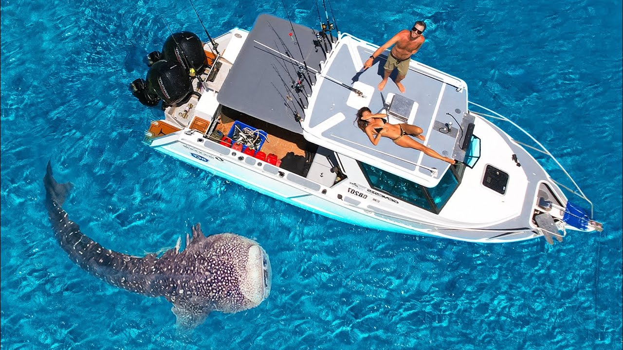 Stranded in remote waters when the ocean revealed its giant