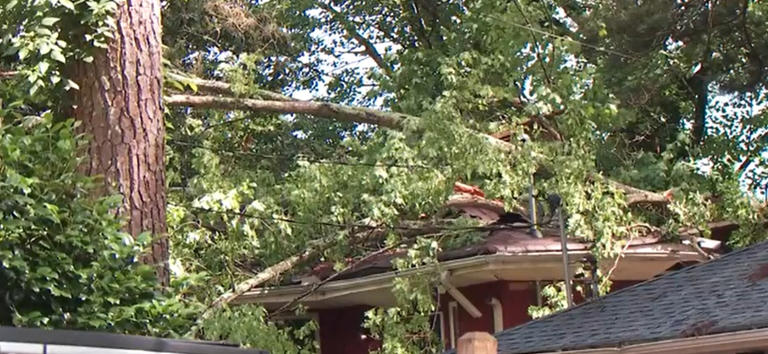 Tree falls on southwest Atlanta home after days of rain, family escapes ...
