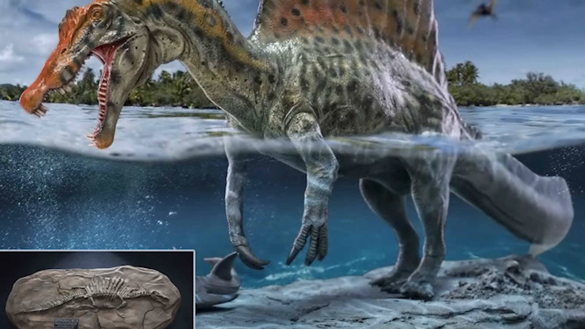 This monster dinosaur was bigger than T rex - and hunted like a crocodile