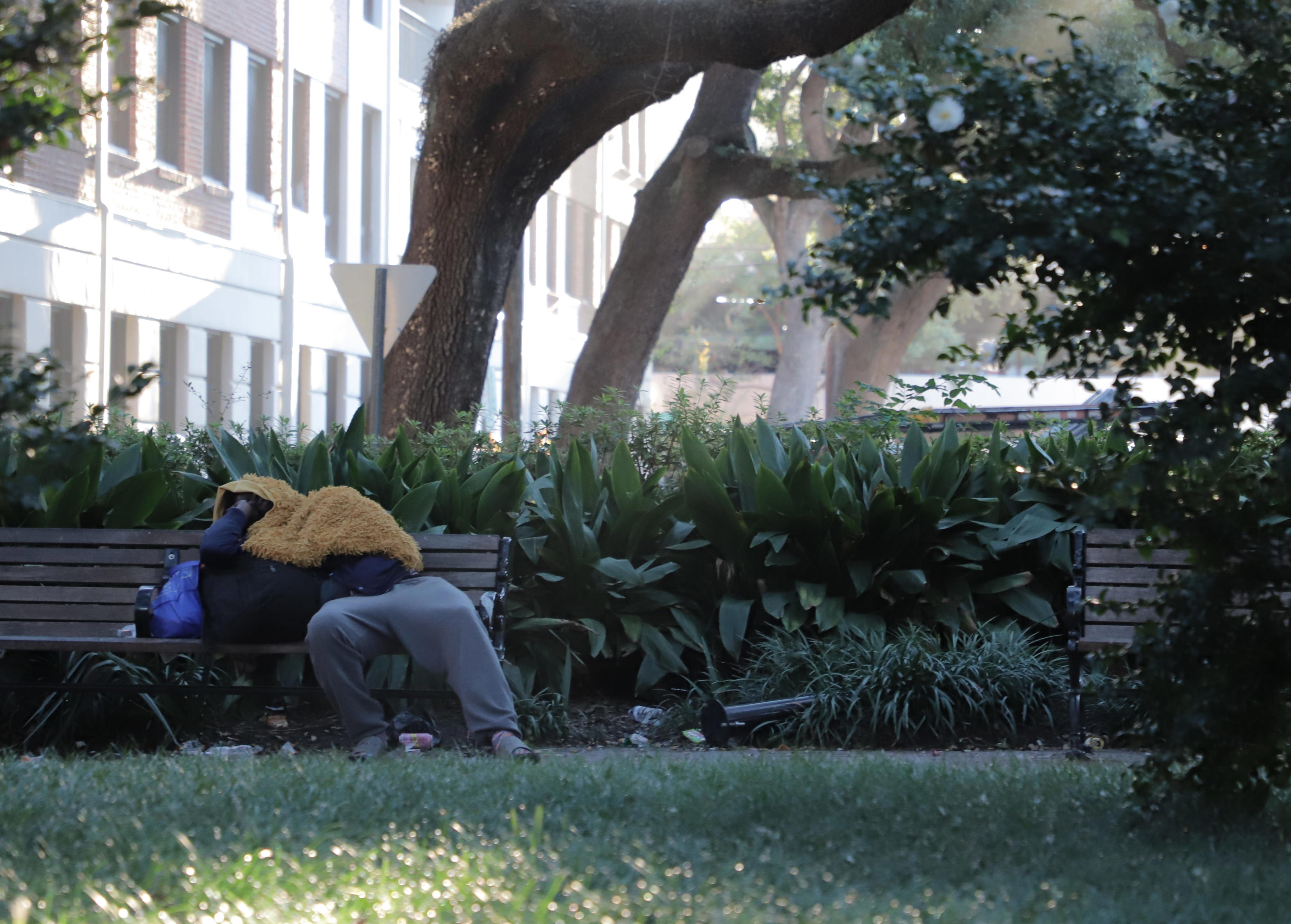 Savannah homelessness count shows fewer people living outside
