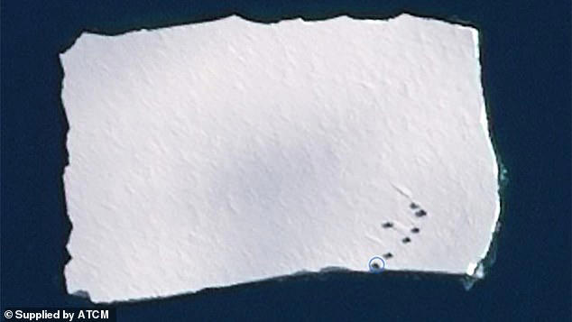 Antarctic researchers left without accommodation and fuel supply after ...