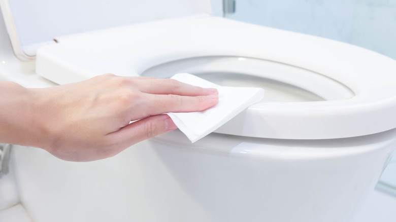 5 essential steps to cleaning your toilet the right way