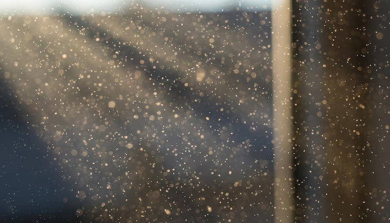 Dust yields clues to viral outbreaks, study finds