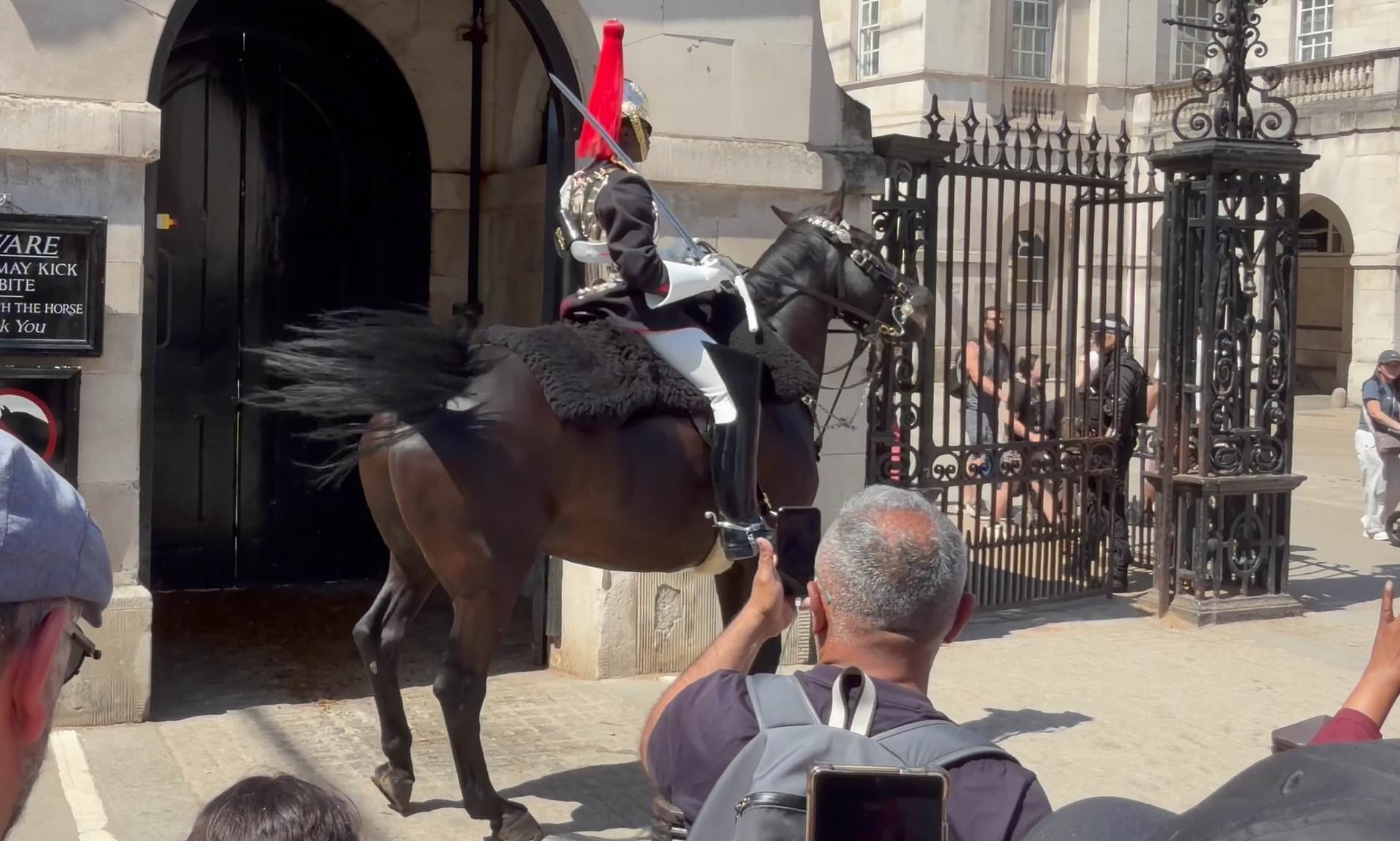 Moment King's Guard horse becomes agitated in May Day heatwave in front ...